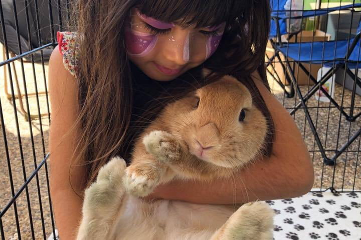Learn - The Rabbit Sanctuary
