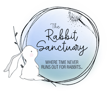 About The Rabbit Rescue Sanctuary