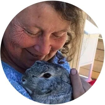 Rabbit Rescue Sanctuary